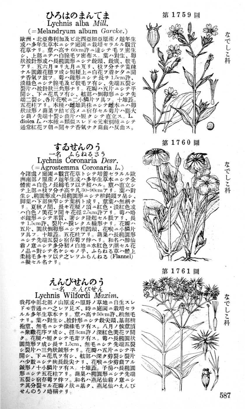 牧野日本植物図鑑(初版・増補版)インターネット版