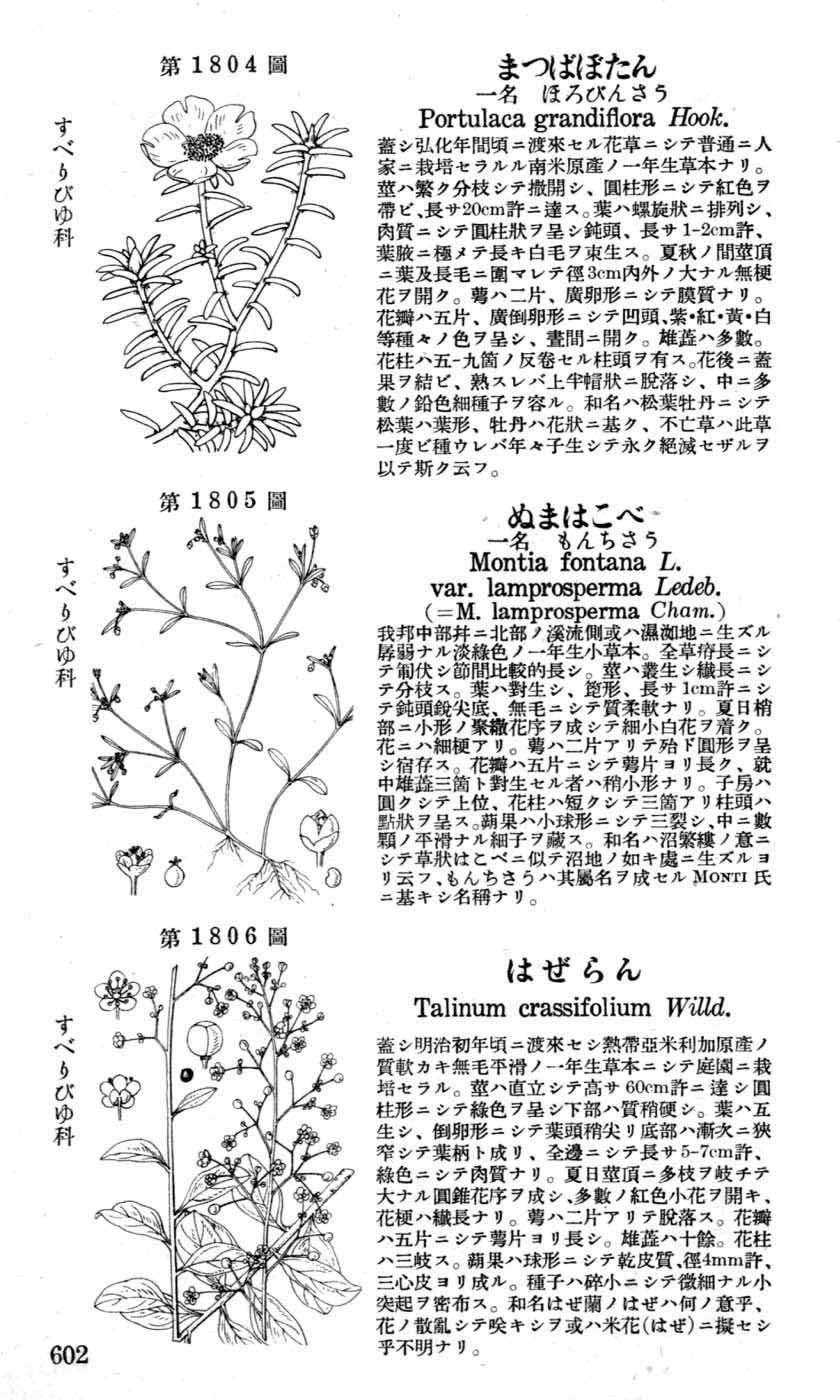 牧野日本植物図鑑(初版・増補版)インターネット版