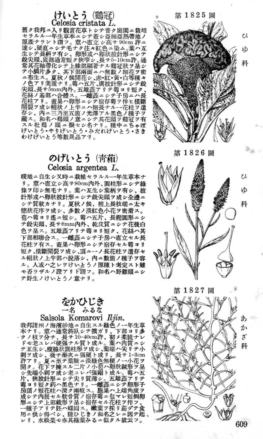 牧野日本植物図鑑(初版・増補版)インターネット版