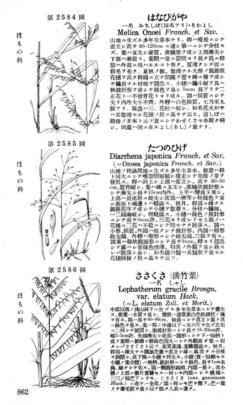 牧野日本植物図鑑（初版・増補版）インターネット版