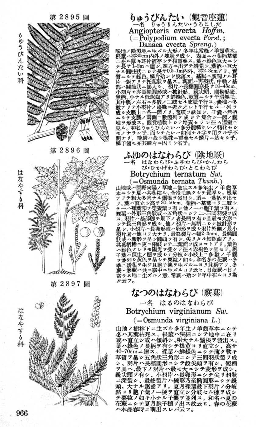 牧野日本植物図鑑(初版・増補版)インターネット版