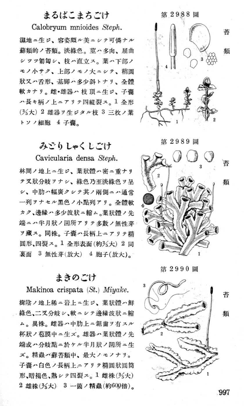 牧野日本植物図鑑（初版・増補版）インターネット版