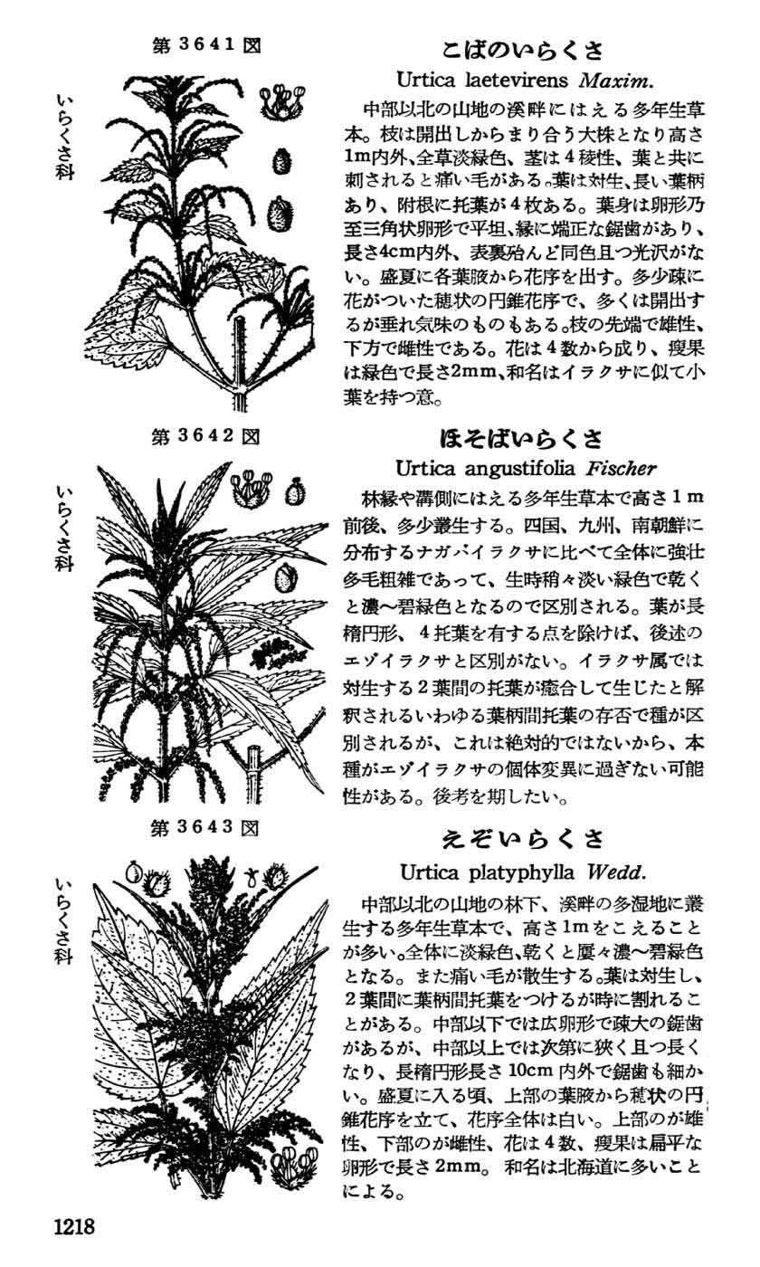 牧野日本植物図鑑（初版・増補版）インターネット版