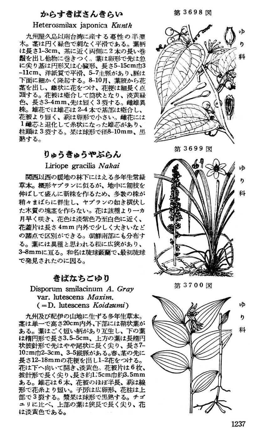 牧野日本植物図鑑（初版・増補版）インターネット版
