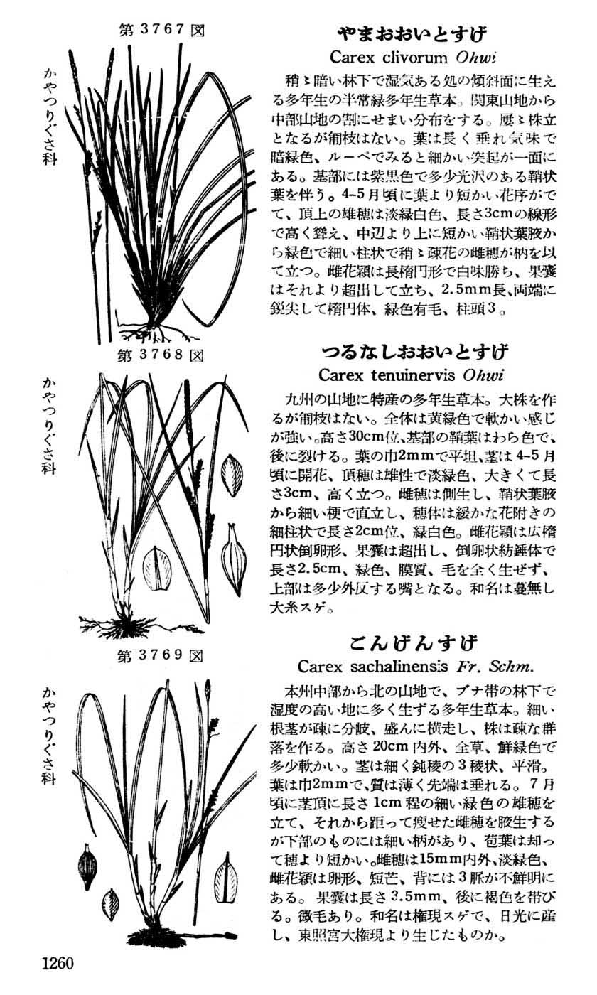 牧野日本植物図鑑（初版・増補版）インターネット版