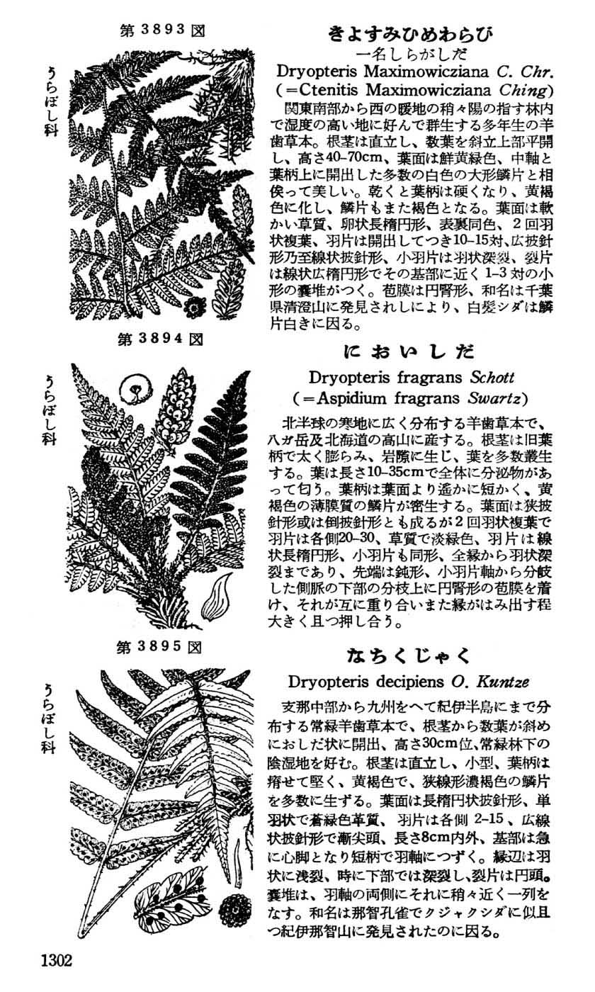 牧野日本植物図鑑（初版・増補版）インターネット版